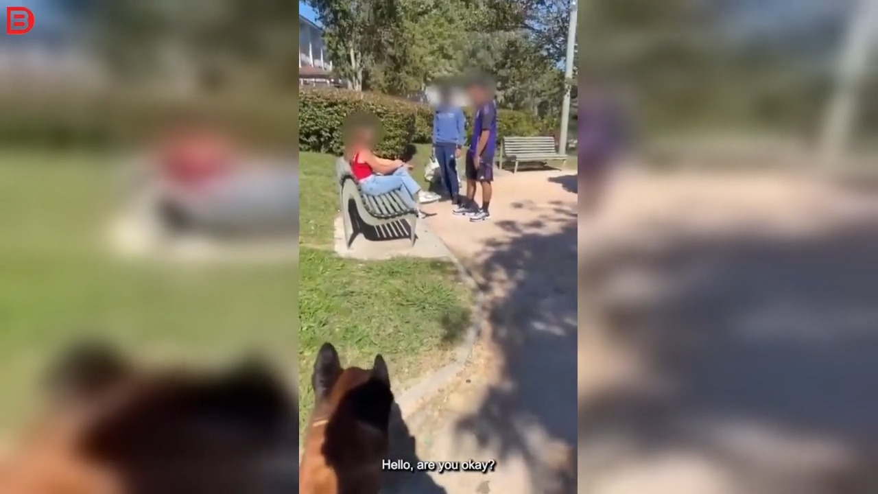 Twee mannen lastigvallen meisje in park: Hond van omstander komt helpen ...